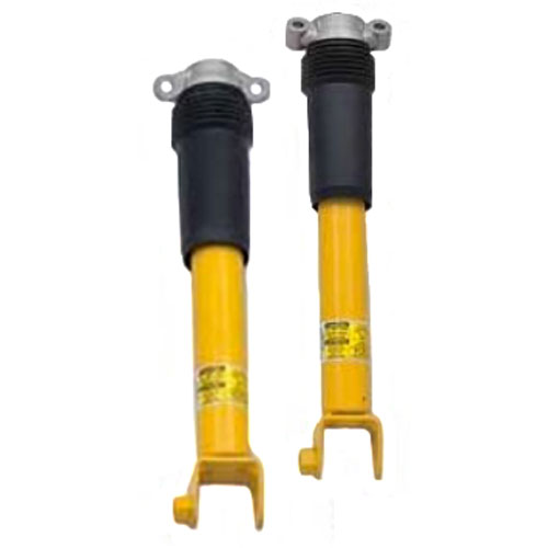 Chevy SACHS Shock Absorber, Front: GM Performance Motor